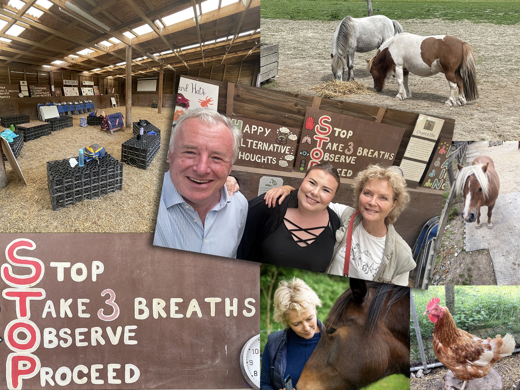 Mane Chance - Helping Horses & Helping people. - High Sheriff of Surrey
