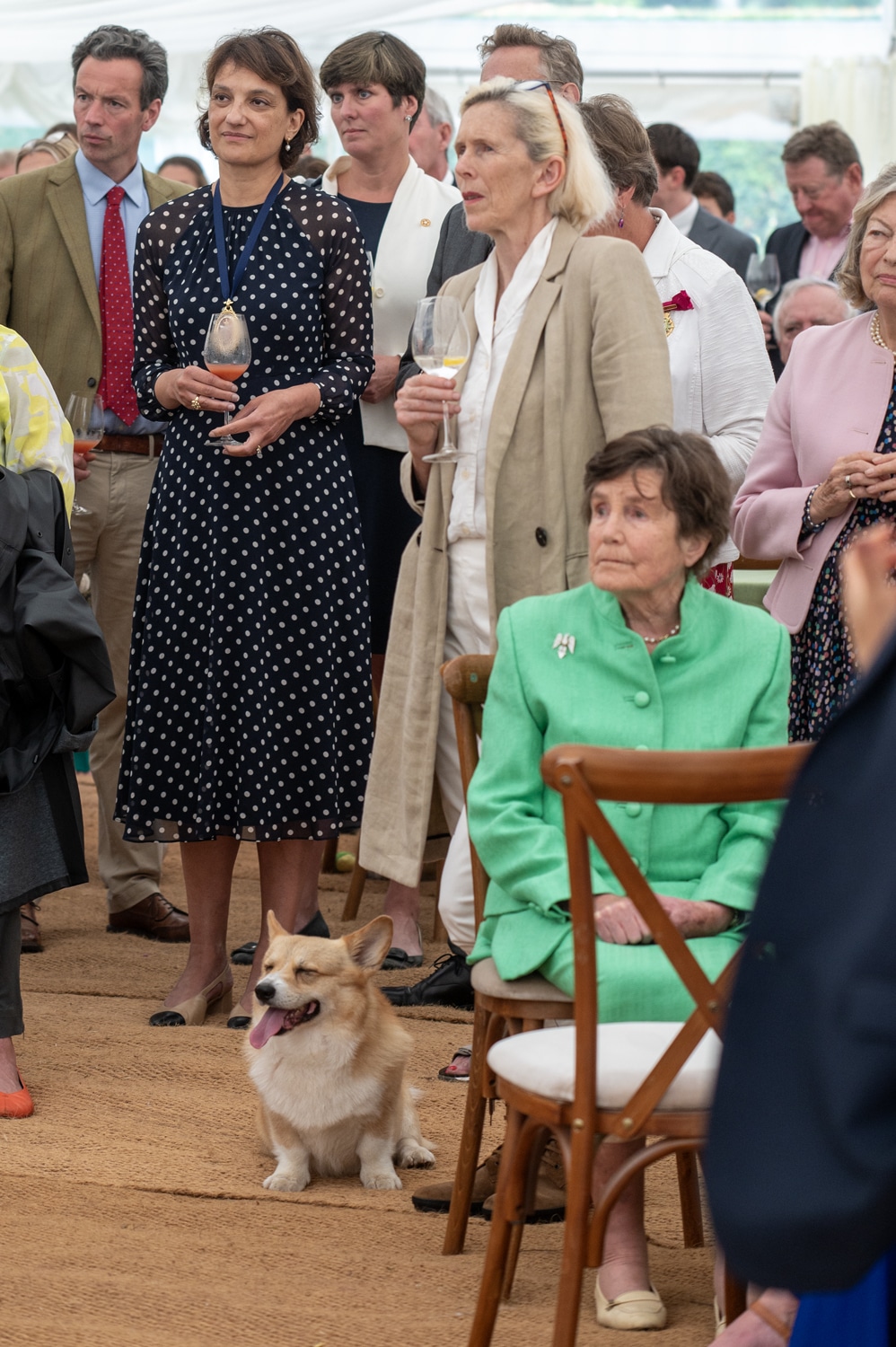 The High Sheriff's Garden Party 2023 - High Sheriff of Surrey